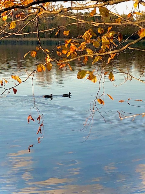 End of a Season – Leveled